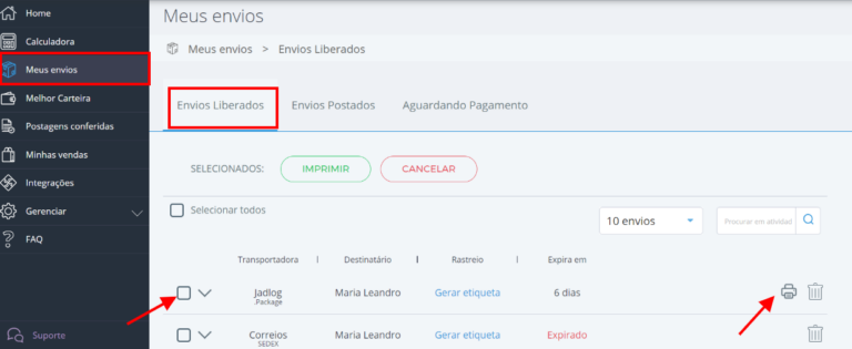 Transportadora Jadlog: o que é e como funciona